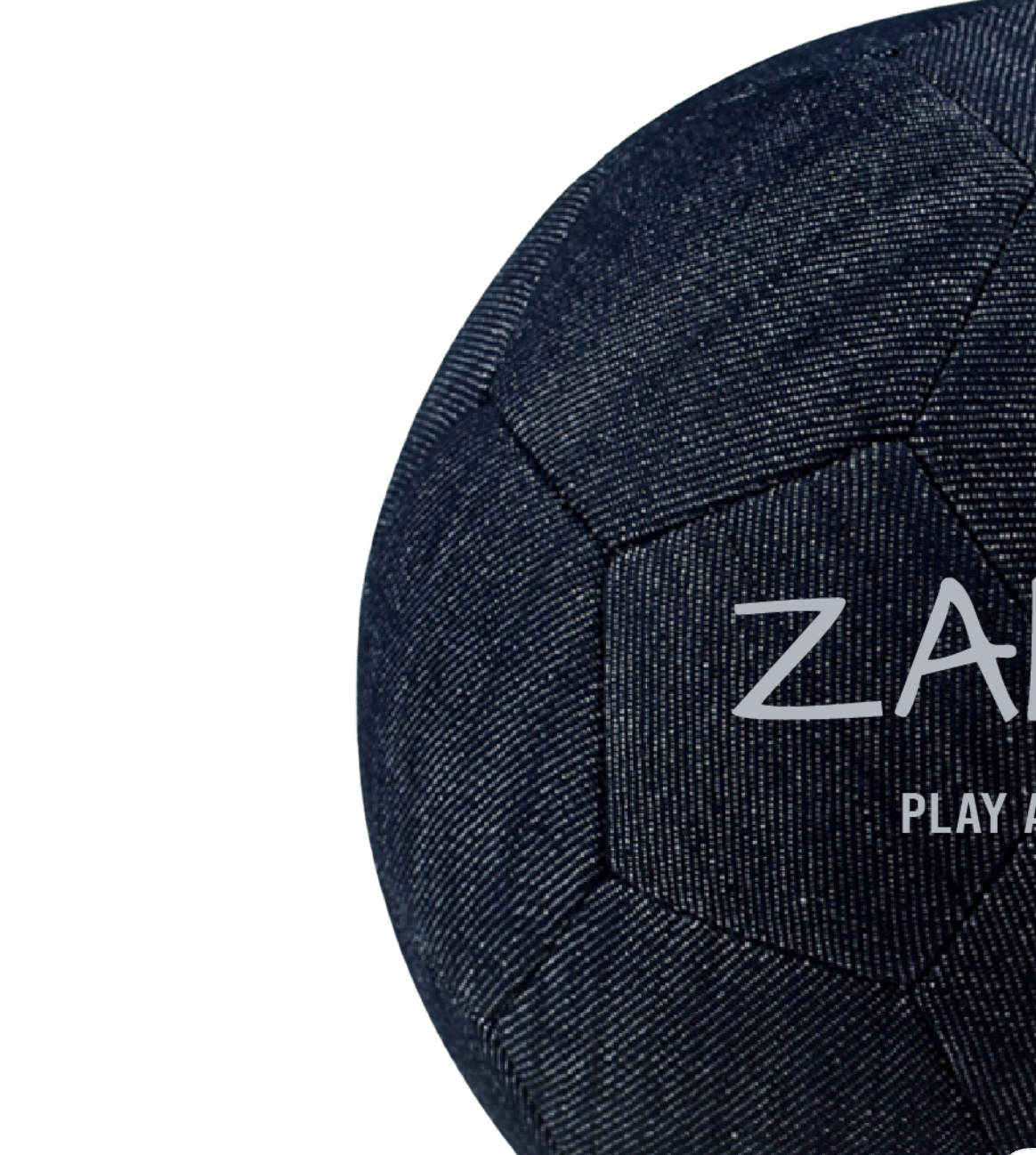 ZANYA: Play Anywhere – Legend